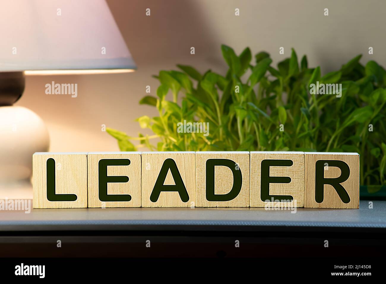 Leader word hi-res stock photography and images - Alamy