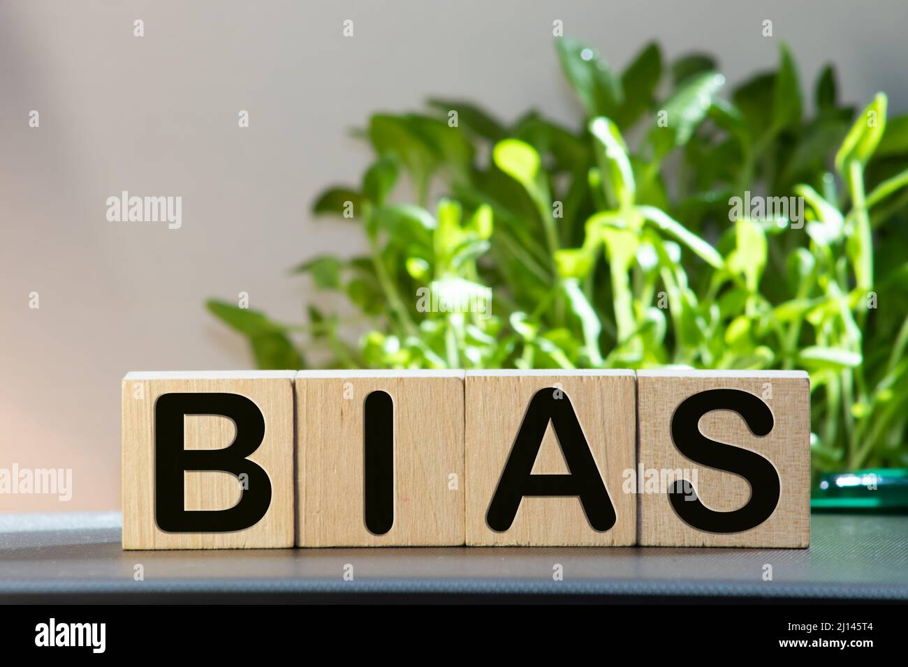Bias - word from wooden blocks with letters, personal opinions ...