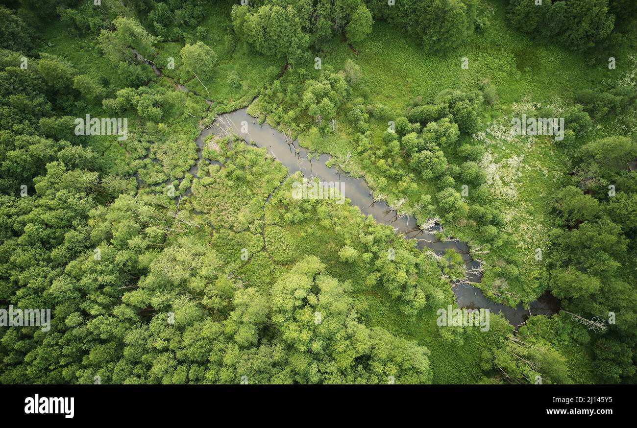 Green environment background theme. River run in jungle background ...