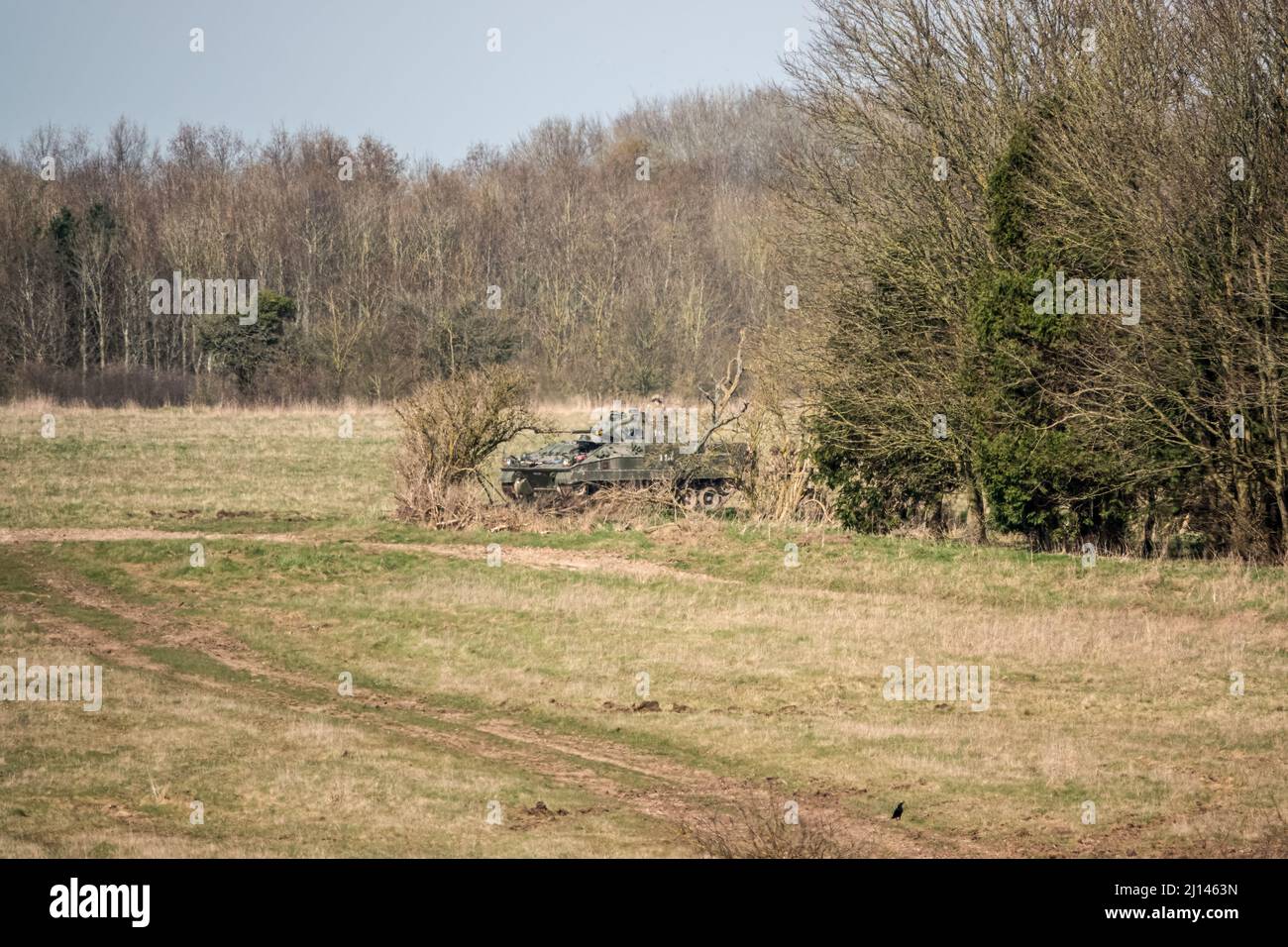british army Warrior FV510 infantry fighting vehicle in action on a ...