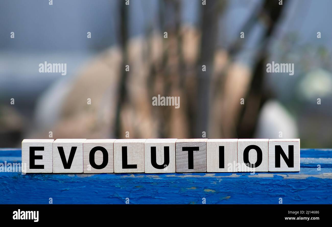 Wooded cube block on yellow background with word EVOLVE and copy space ...