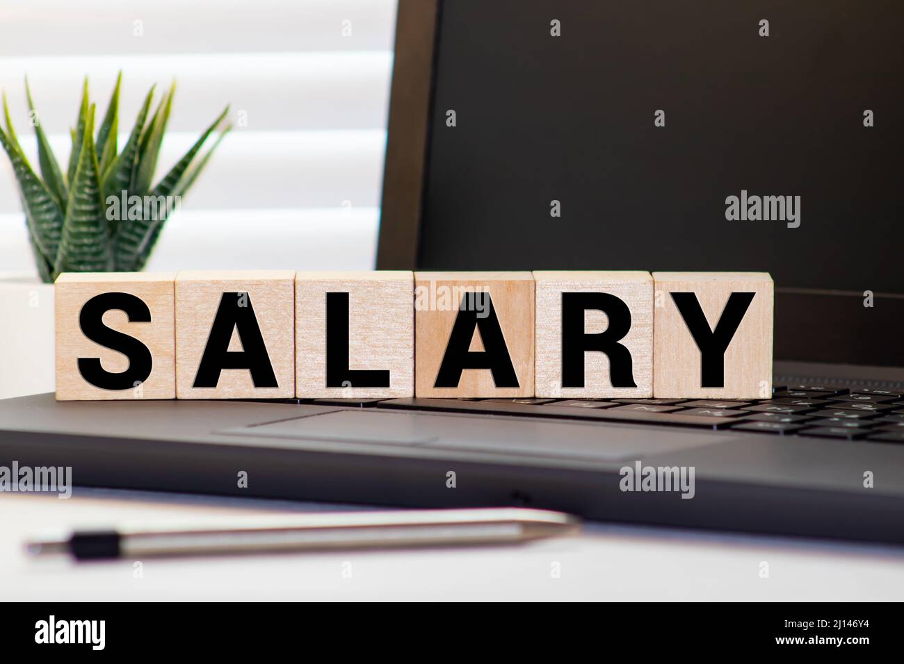 Salary - words from wooden blocks with letters Stock Photo - Alamy