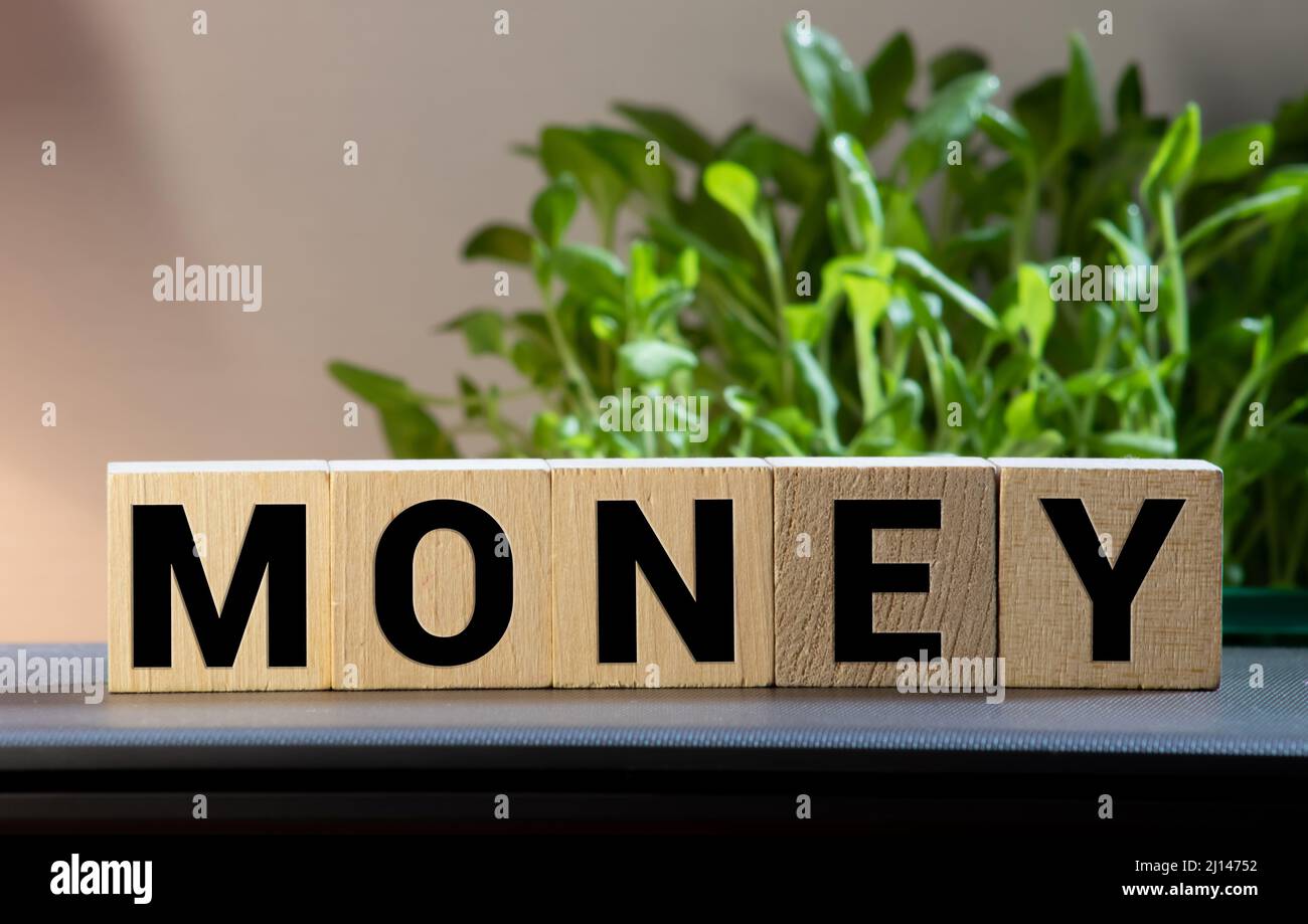 Wooden blocks with the lettering Money on top of ascending bar graphs ...
