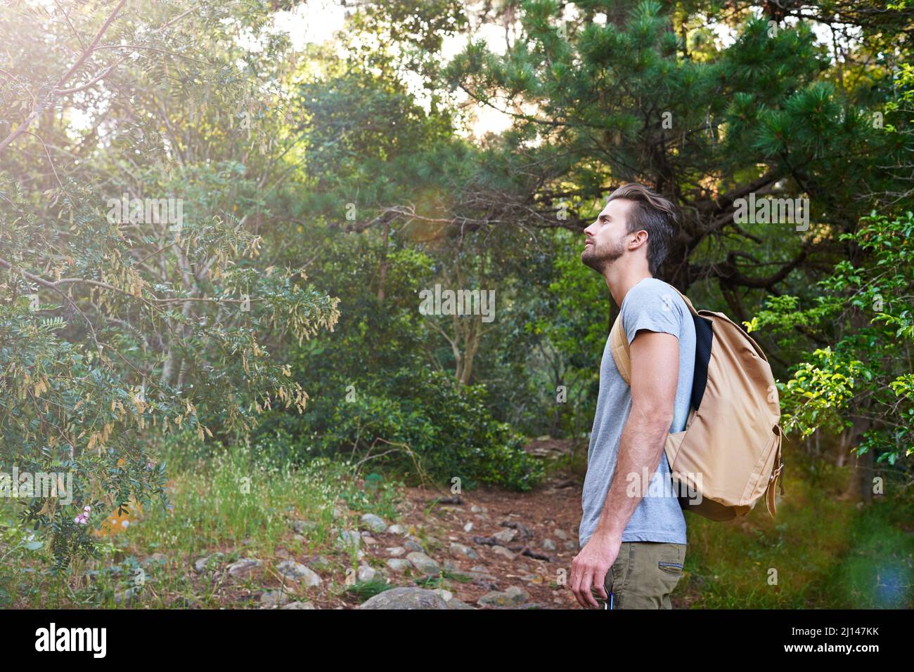 Spending time in nature is healing energy. A young man looking at the ...