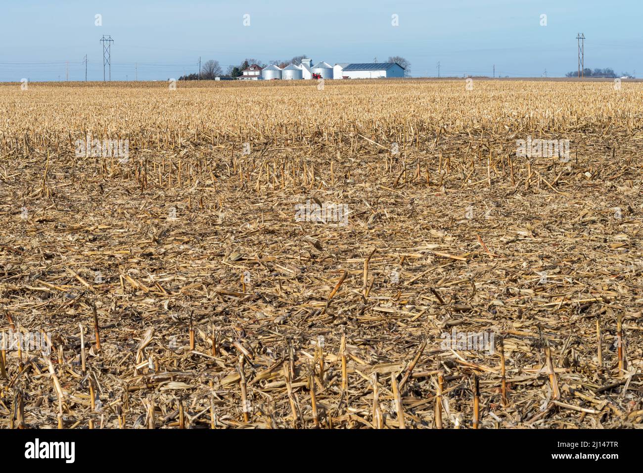 House in a corn farm hi-res stock photography and images - Alamy