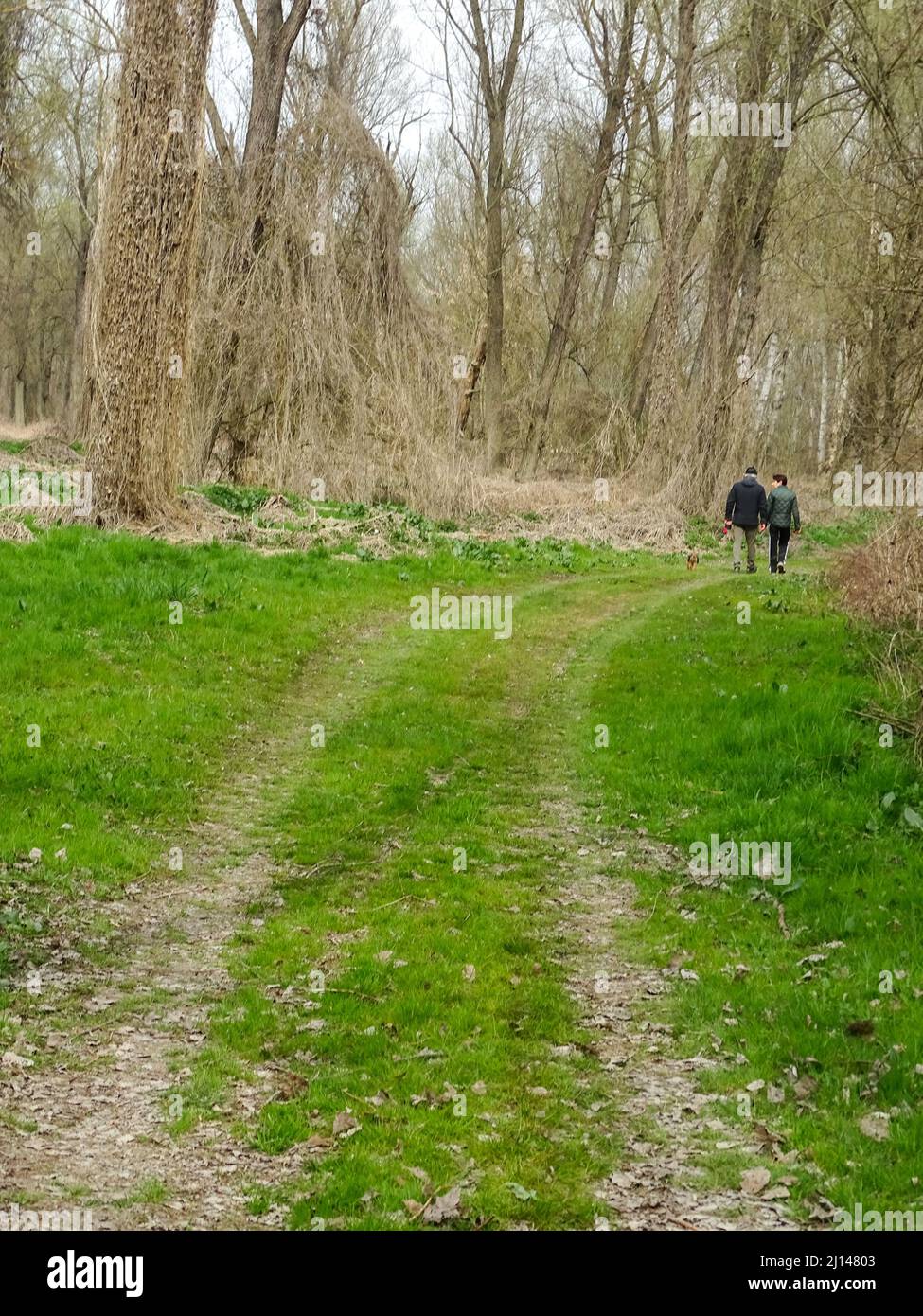 La Garzaia natural reserve park at Pomponesco Mantua Italy Stock Photo ...