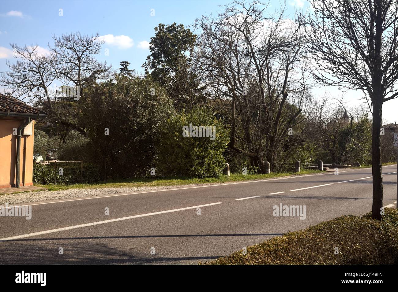 Italian countryside flower road hi-res stock photography and images - Alamy