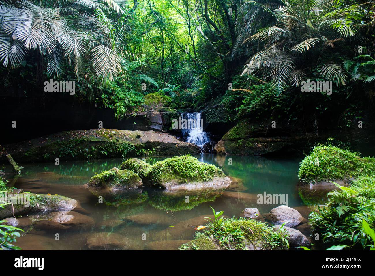 Waterfall jungle dramatic hi-res stock photography and images - Alamy