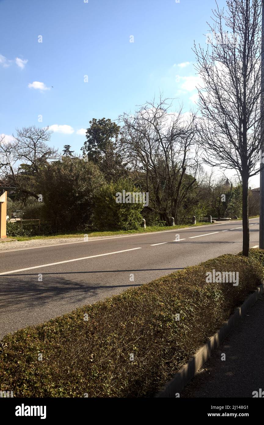 Italian countryside flower road hi-res stock photography and images - Alamy