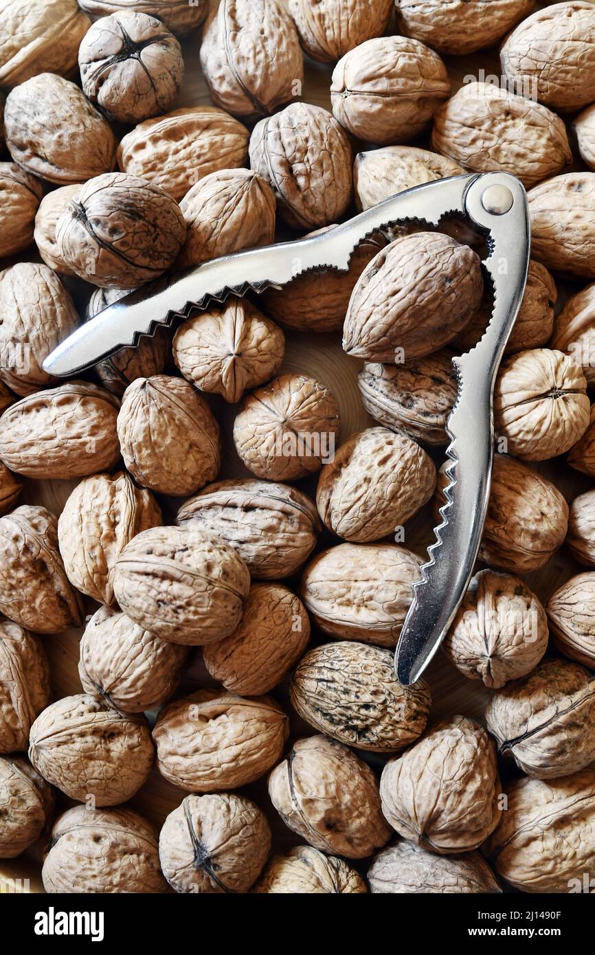 Dry nuts - France Stock Photo - Alamy