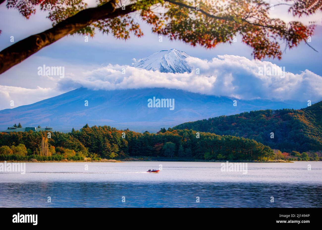 Landscape image of Mt. Fuji over Lake Kawaguchiko with autumn foliage at daytime in ...