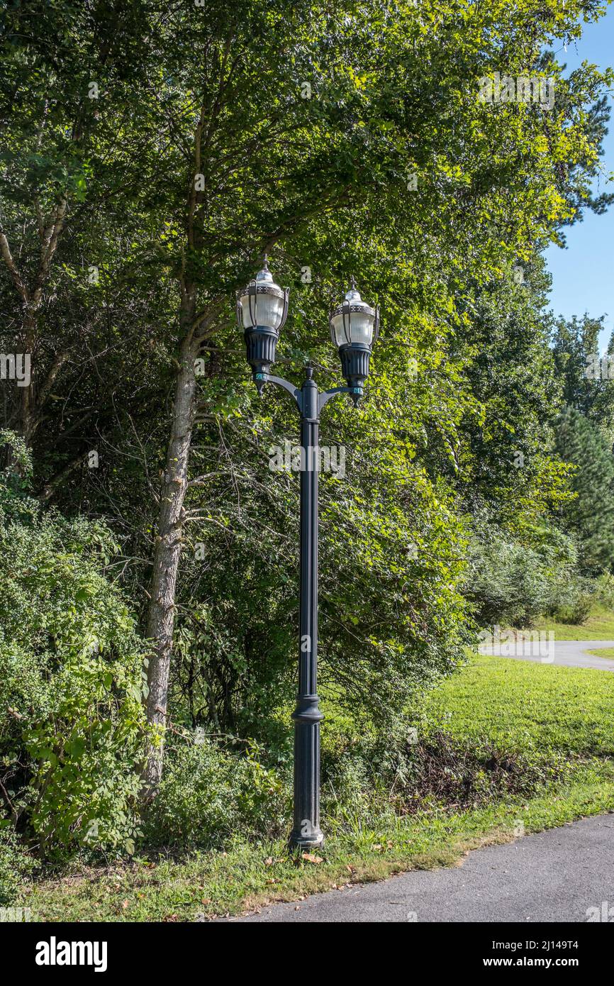 An old fashion style street light in a park along the trails and trees ...