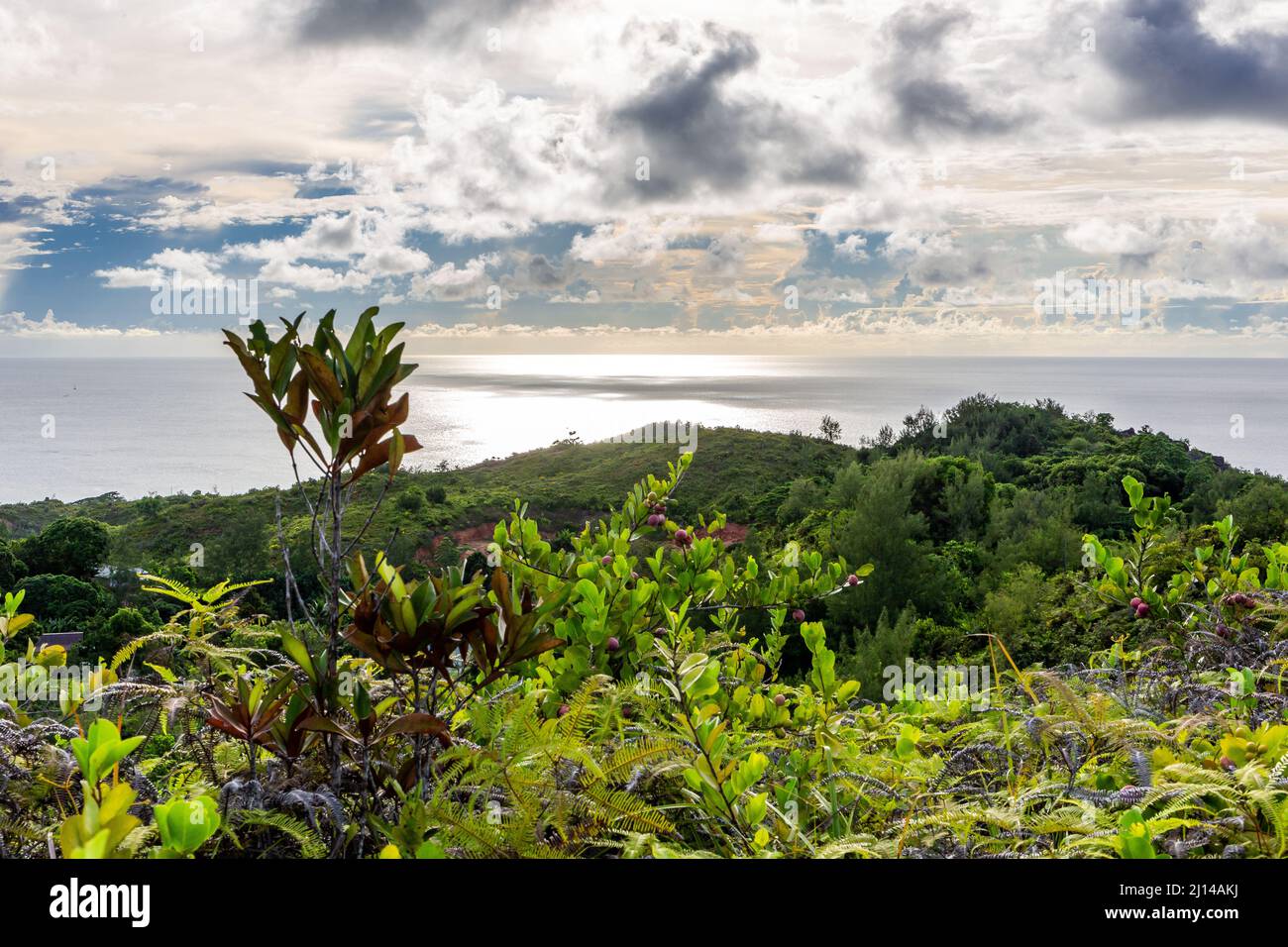 Seychelles island point hi-res stock photography and images - Alamy