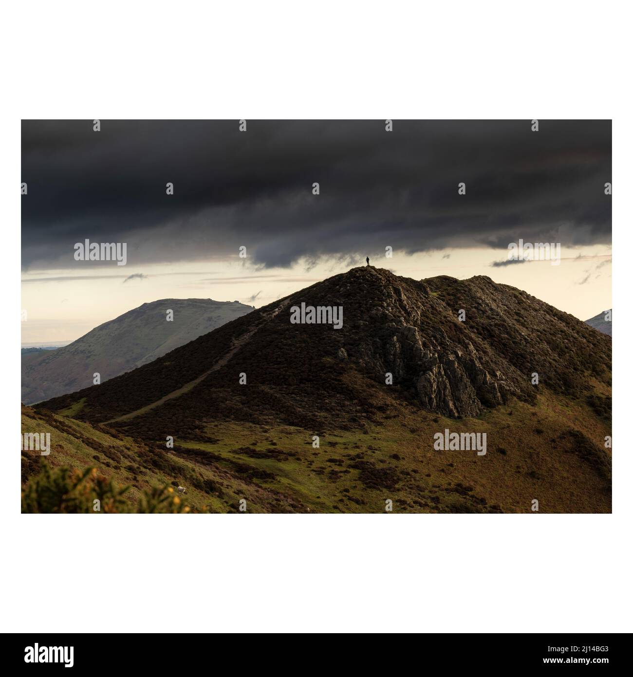 Aerial view forest mountain Cut Out Stock Images & Pictures - Alamy