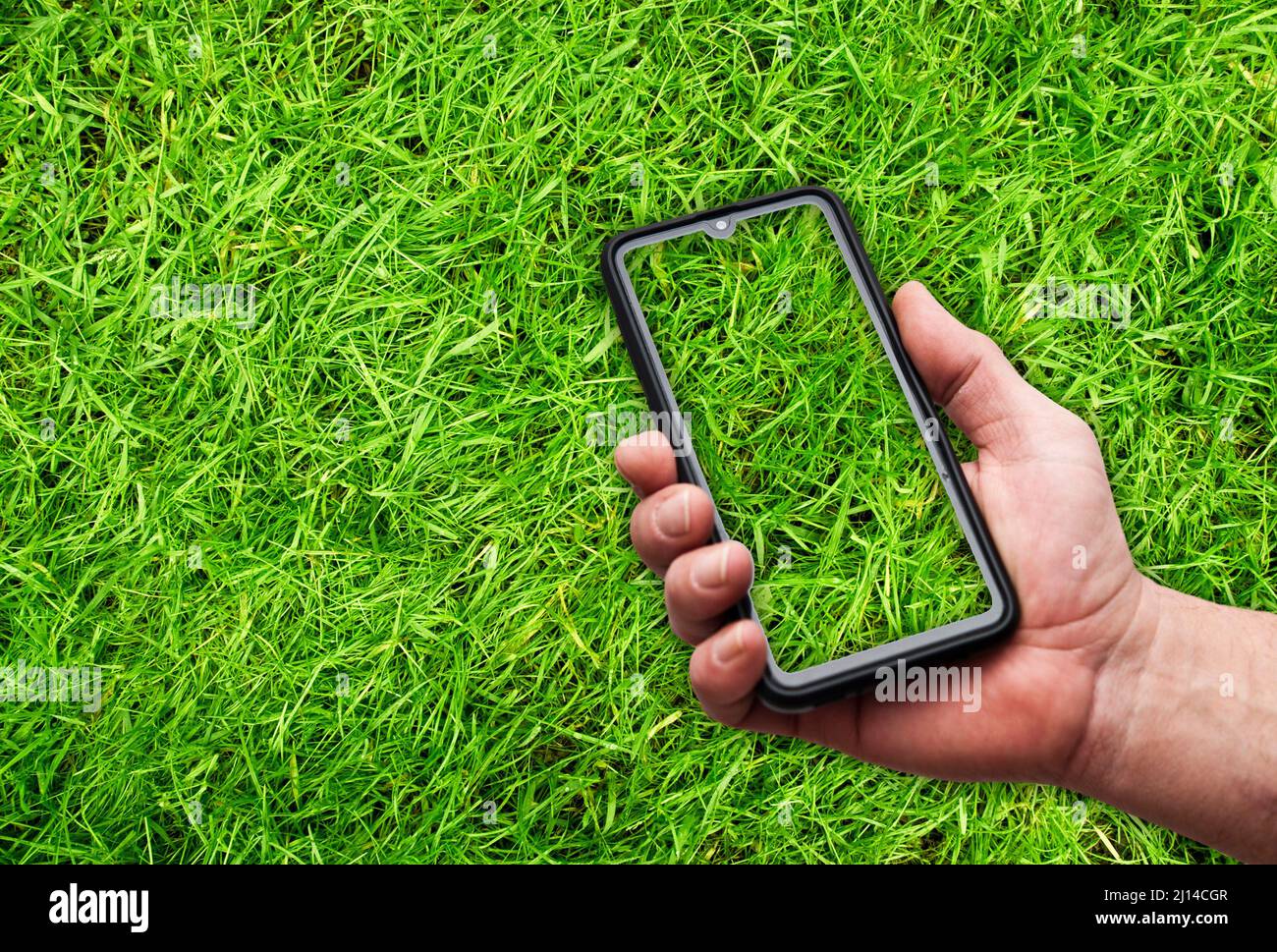 hand holding a smartphone with green grass on screen and green ...