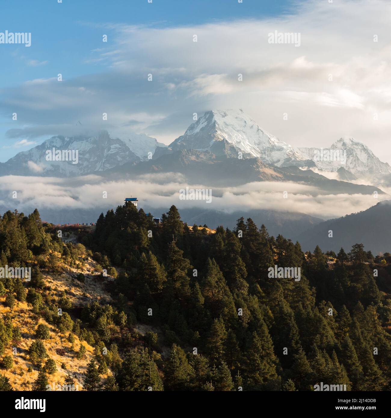Annapurna mountain range from Poon Hill on sunrise, Nepal Stock Photo ...