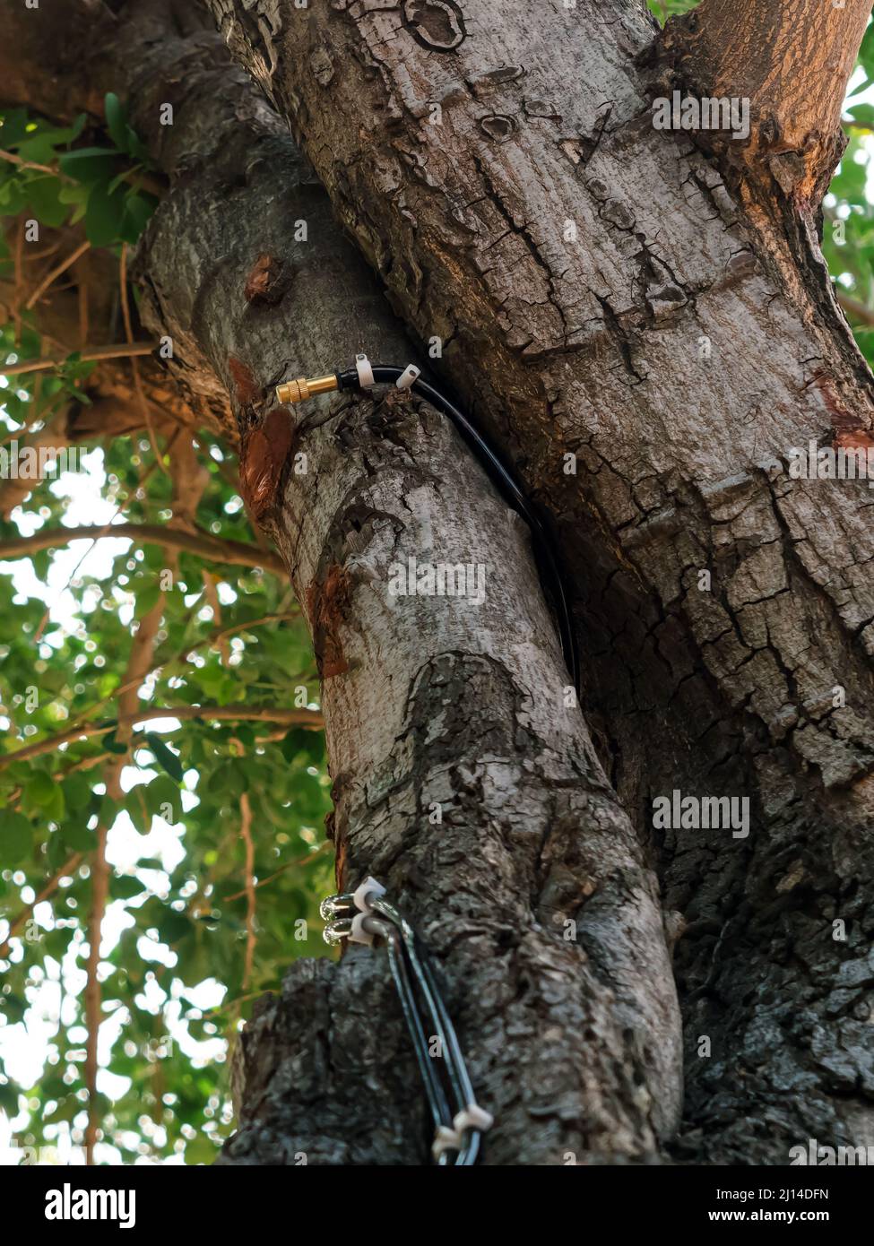 Brass Mist Nozzles Or Sprinklers For Spraying Water Spray On Trees Mist Nozzle Water Spraying