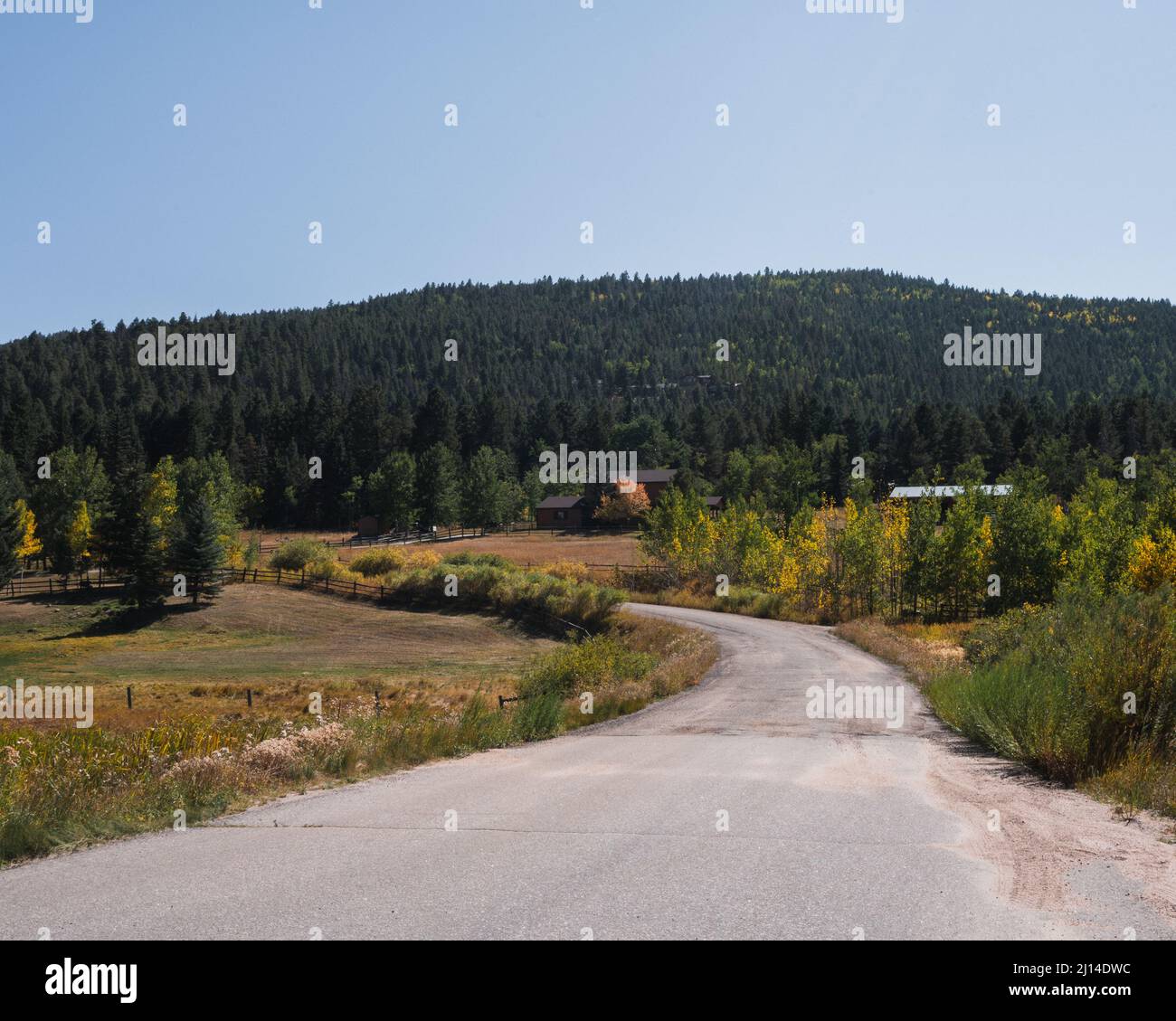 Rural route surrounded by trees and hills Stock Photo - Alamy