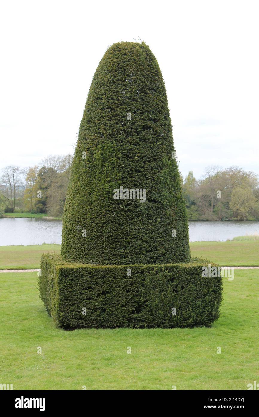 A Tapered Shaped Topiary Formal Garden Hedge Stock Photo - Alamy