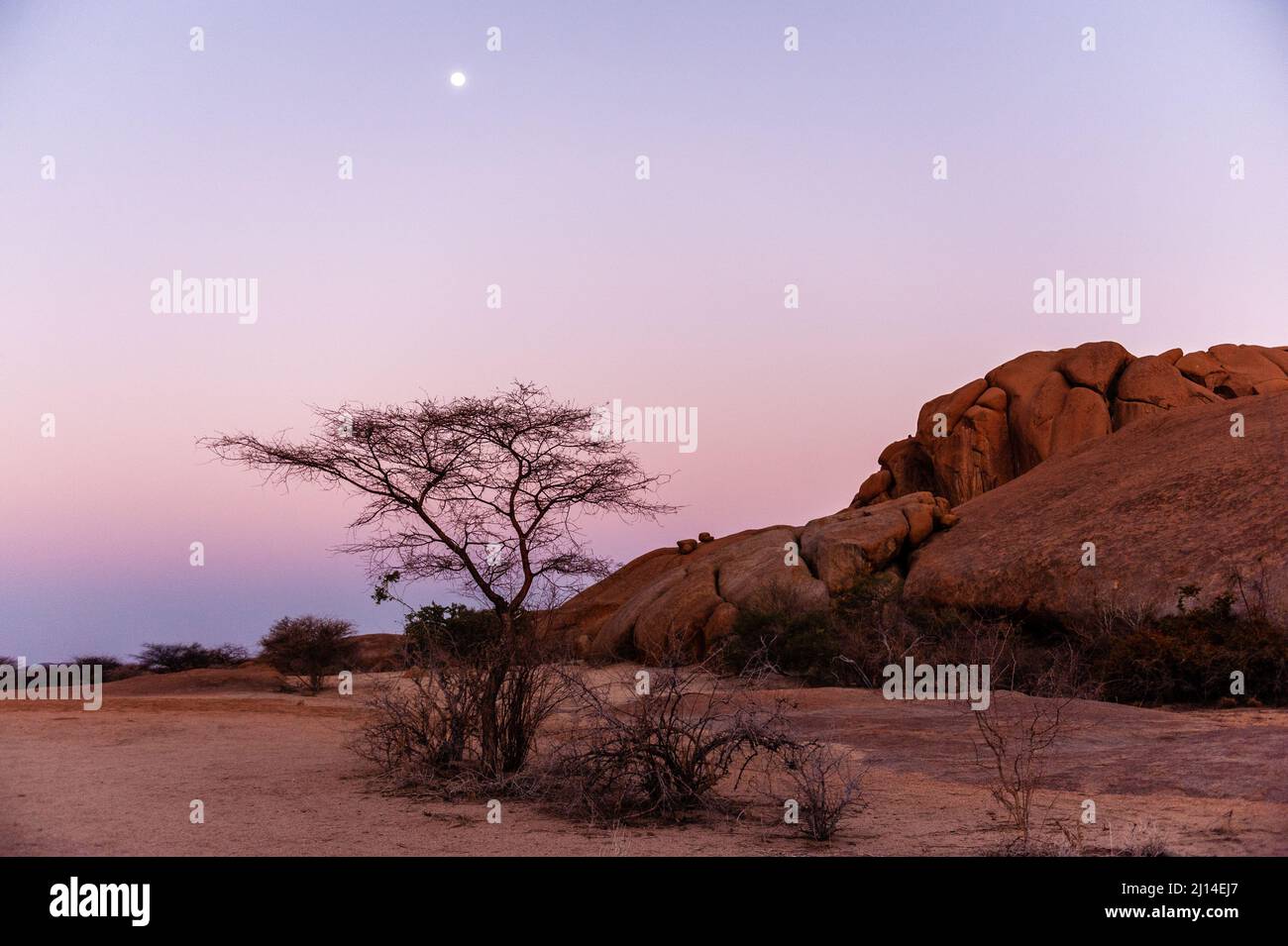 A bright full moon accentuates a red glowing desert and a pink sky ...