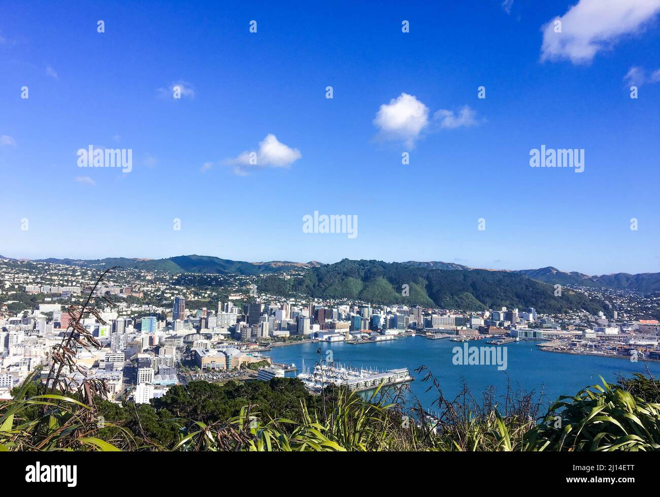 Scenic view of the Auckland cityscape with beautiful buildings and ...