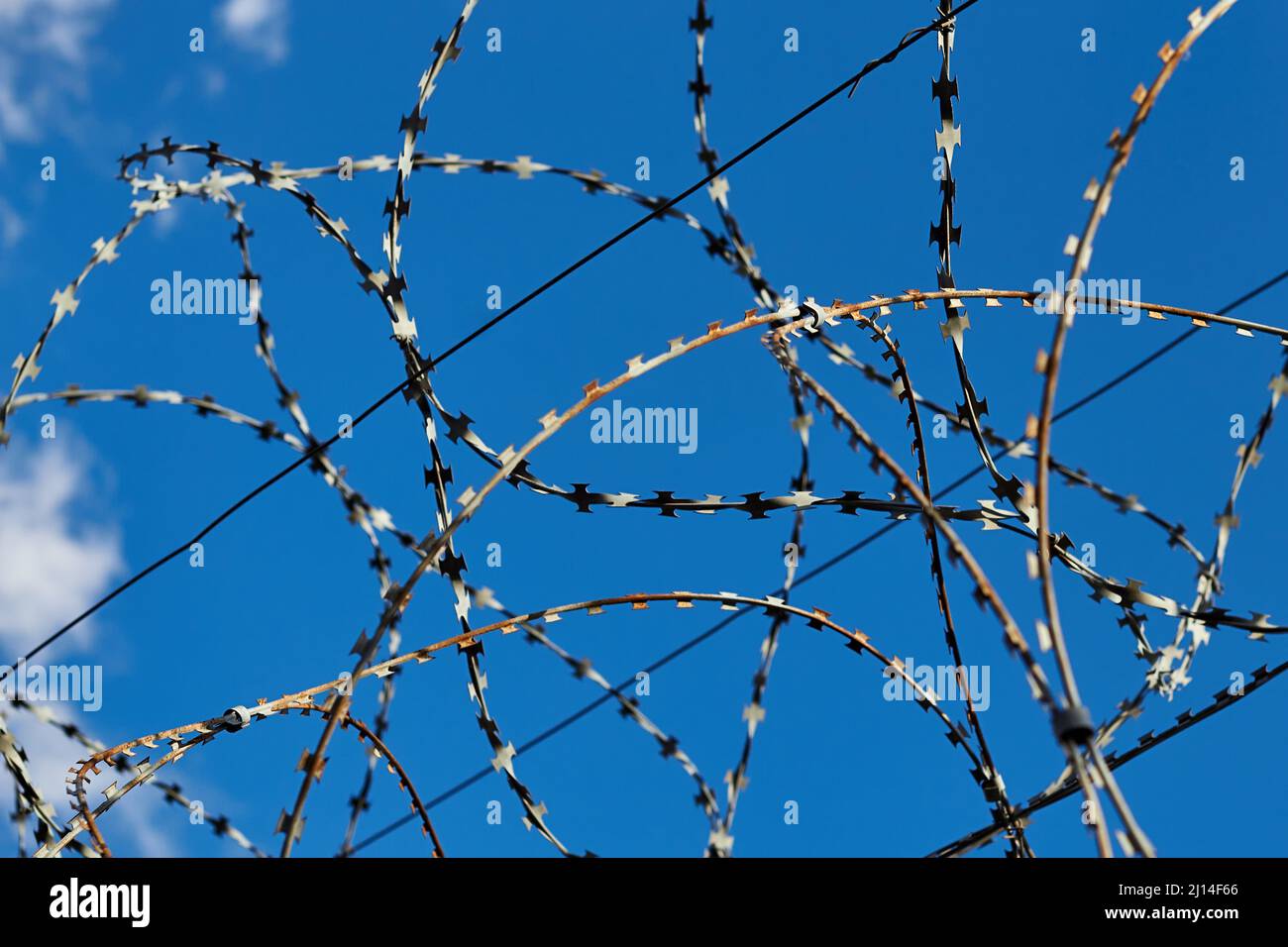 Circular barbed wire against blue sky, prison fence close up Stock ...
