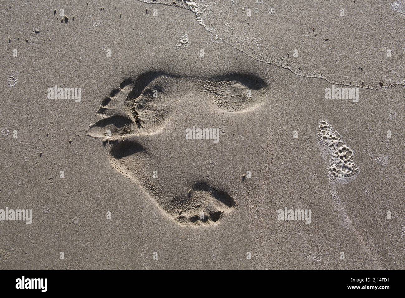 Different sized feet hi-res stock photography and images - Alamy