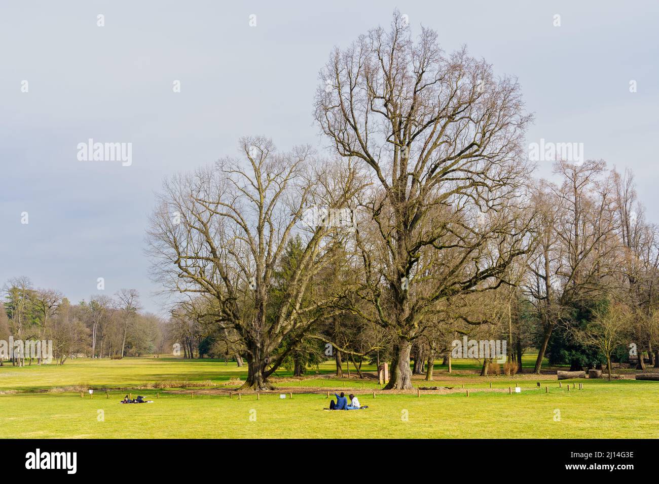 Monza, Italy - February 24, 2022: View of lawn, trees, and visitors in ...