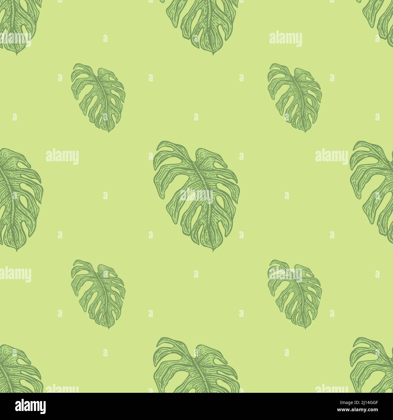 Monstera leaf seamless pattern.Vintage tropical branch in engraving ...