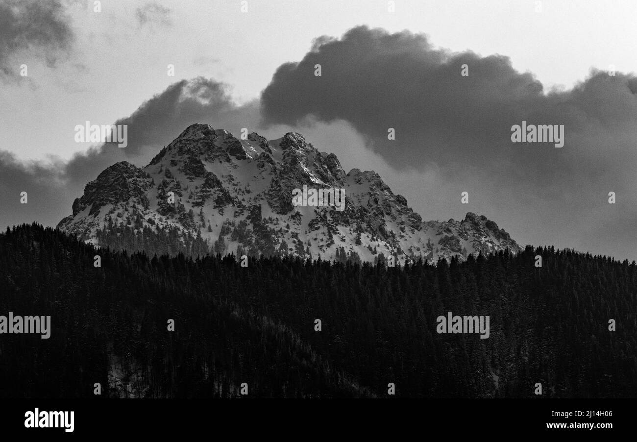 Grayscale mystic view of a rocky mountain peak and lush forests on ...
