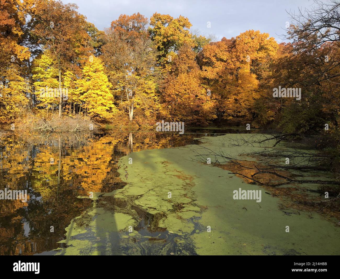 Scenic view of Walnut Point State Park Lake in Illinois Stock Photo - Alamy