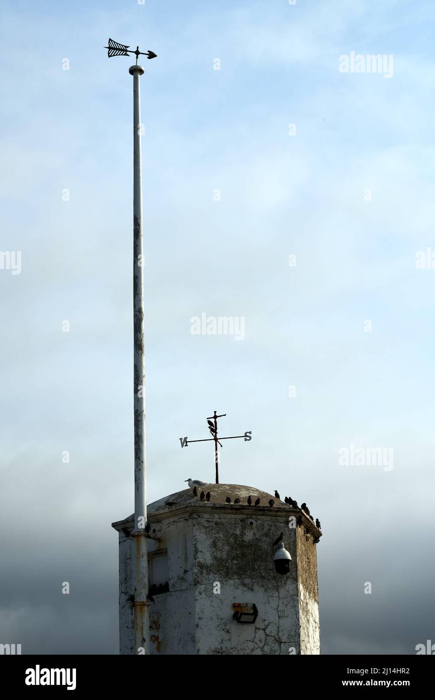 Vertical shot of an old and rusty Weather vane for measuring wind ...
