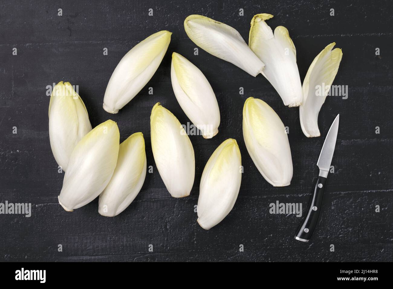 Top view of Belgian endive of chicory and a knife on a brown table ...
