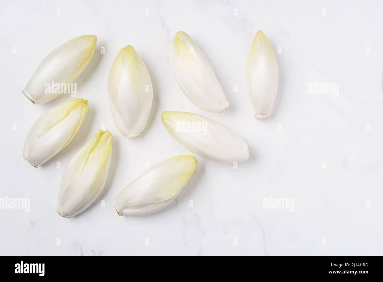 Top view of Belgian endive of chicory on a white table Stock Photo - Alamy