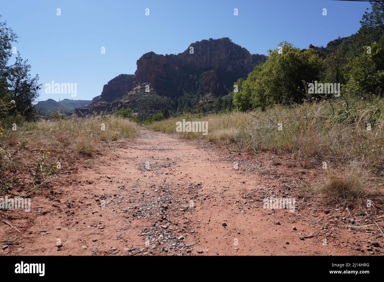 Scenic view of deserted pathway between red rocks covered with green ...