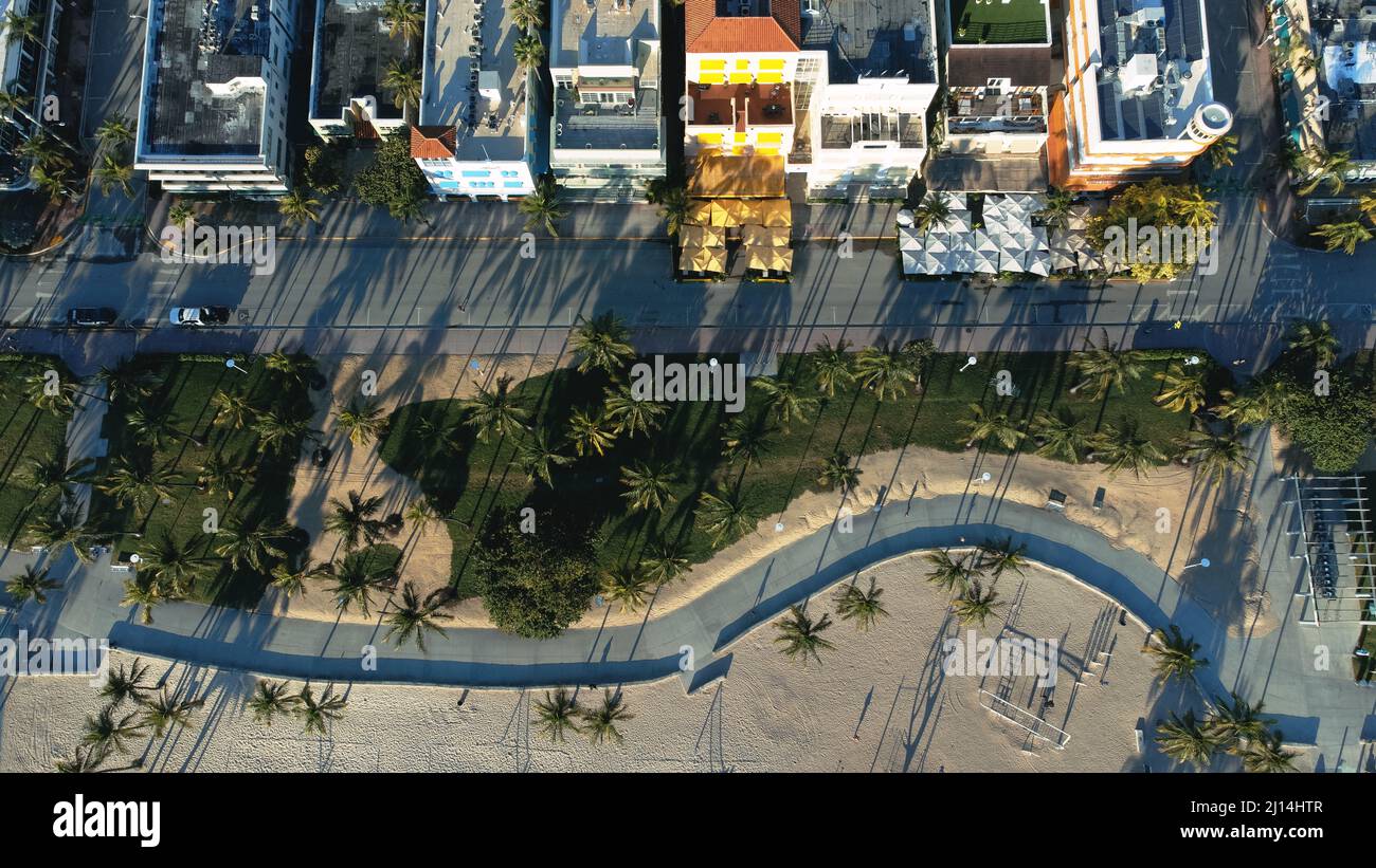Bird's eye view of colorful buildings and a green lawn of palm trees ...