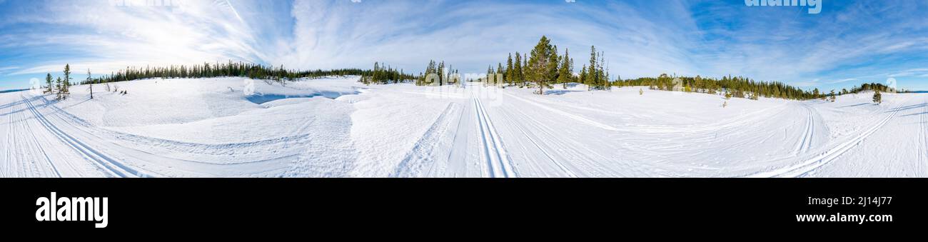 360 degree panoramic view of winter landscape in snow covered Bymarka ...