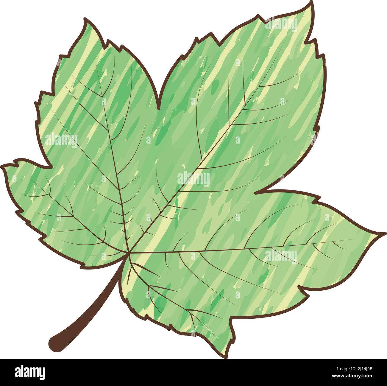 Isolated autumn leaf texture style Vector Stock Vector Image & Art - Alamy