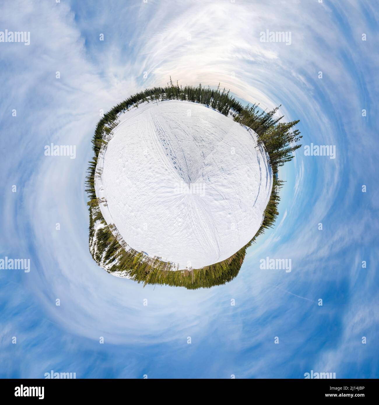 360 degree panoramic view of winter landscape in snow covered Bymarka ...