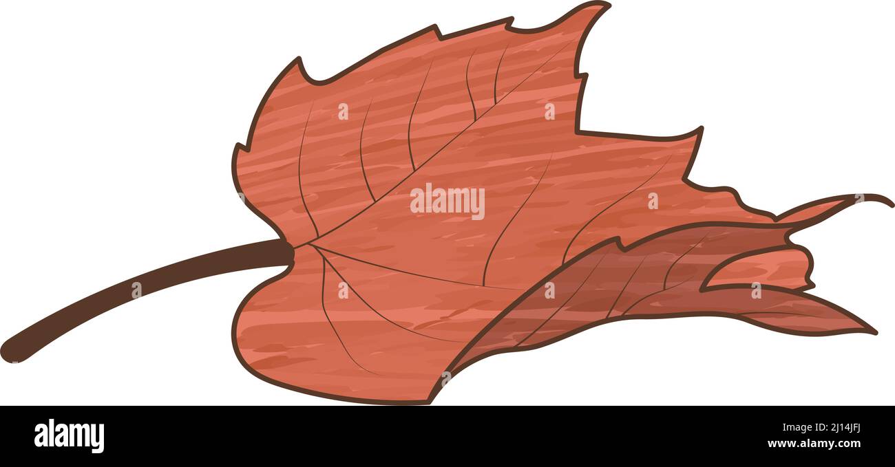 Isolated autumn leaf texture style Vector Stock Vector Image & Art - Alamy