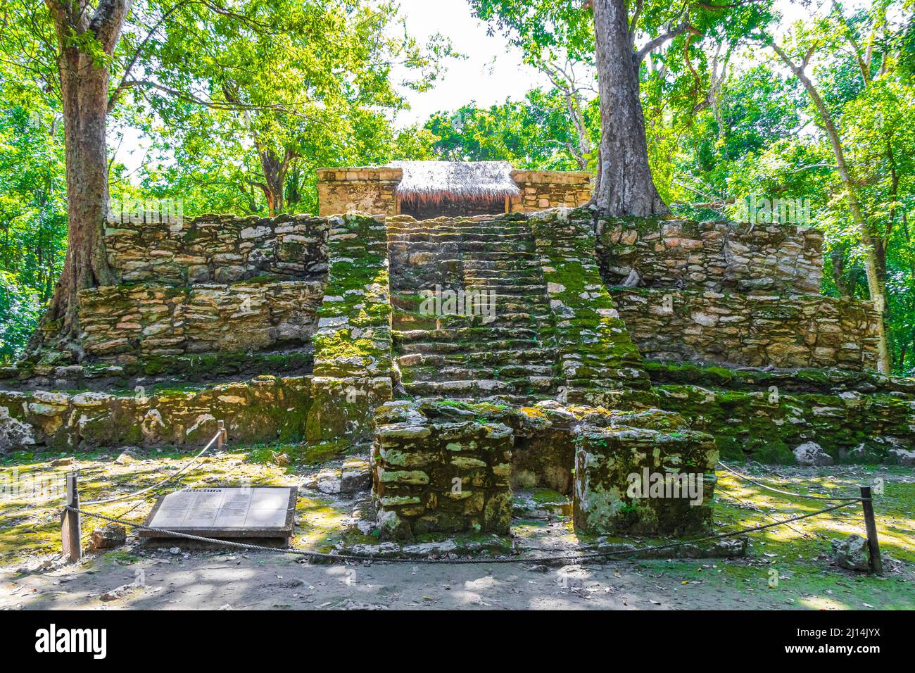 Ancient Mayan site with temple ruins pyramids and artifacts in the ...