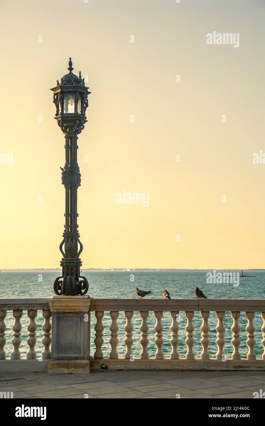 Promenade of Cadiz with balustrades in front of the sea Stock Photo - Alamy