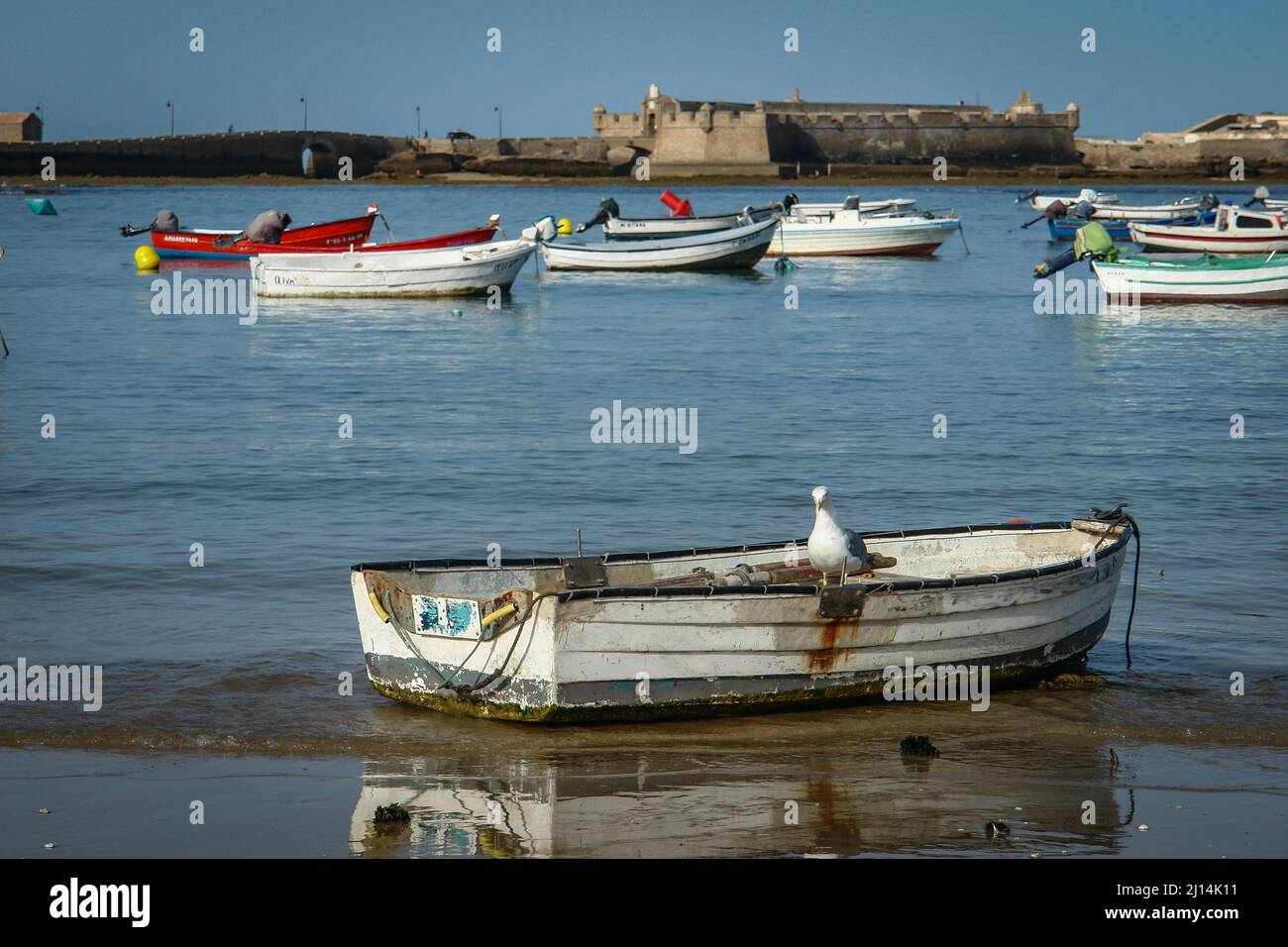 Fishing boats in Cadiz Bay Stock Photo - Alamy