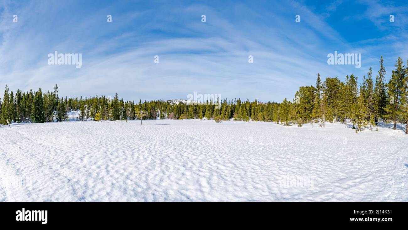 Winter landscape in snow covered Bymarka nature reserve in Trondheim ...