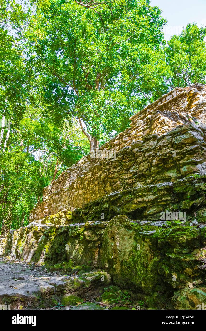 Ancient Mayan site with temple ruins pyramids and artifacts in the ...