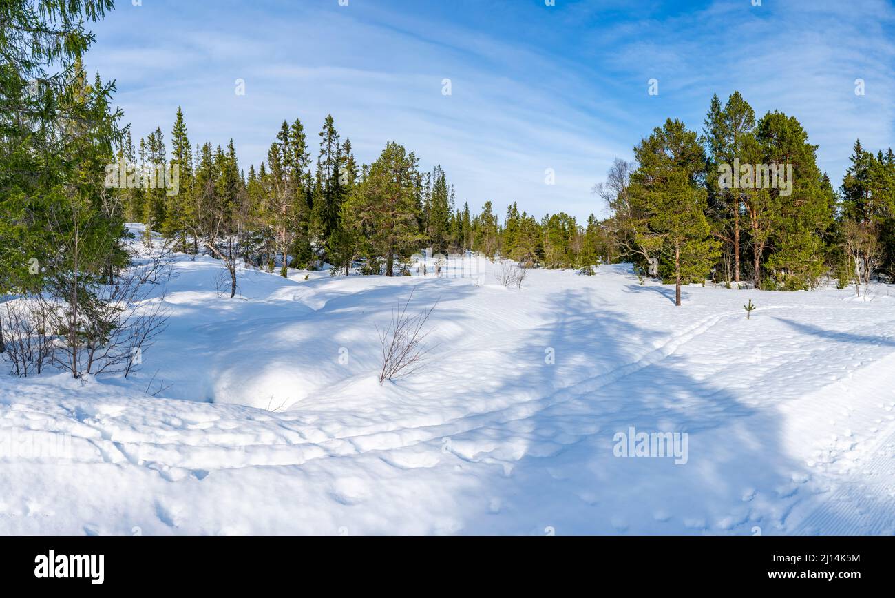 Trondheim norway landscape snow frost hi-res stock photography and ...