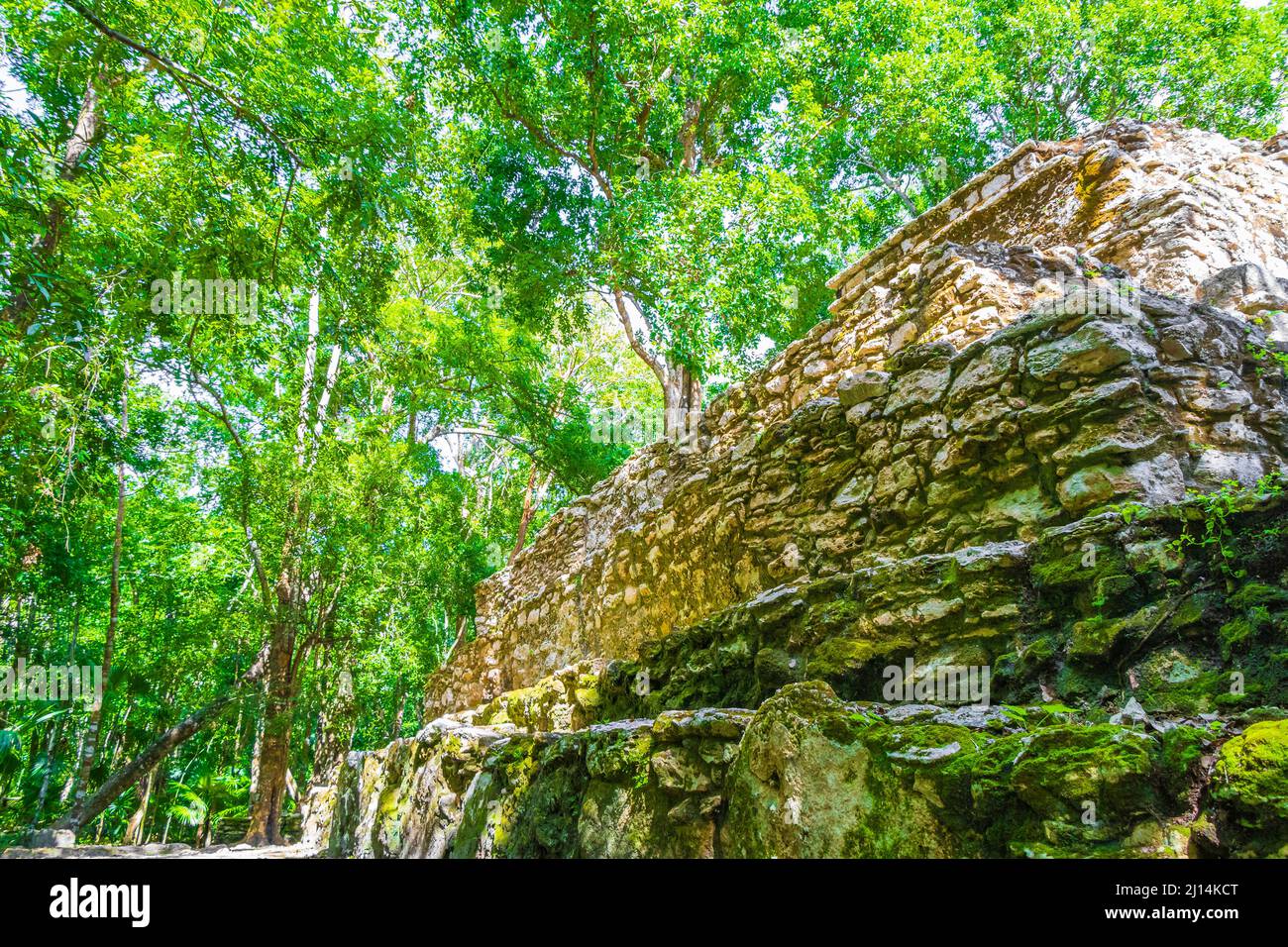 Ancient Mayan site with temple ruins pyramids and artifacts in the ...