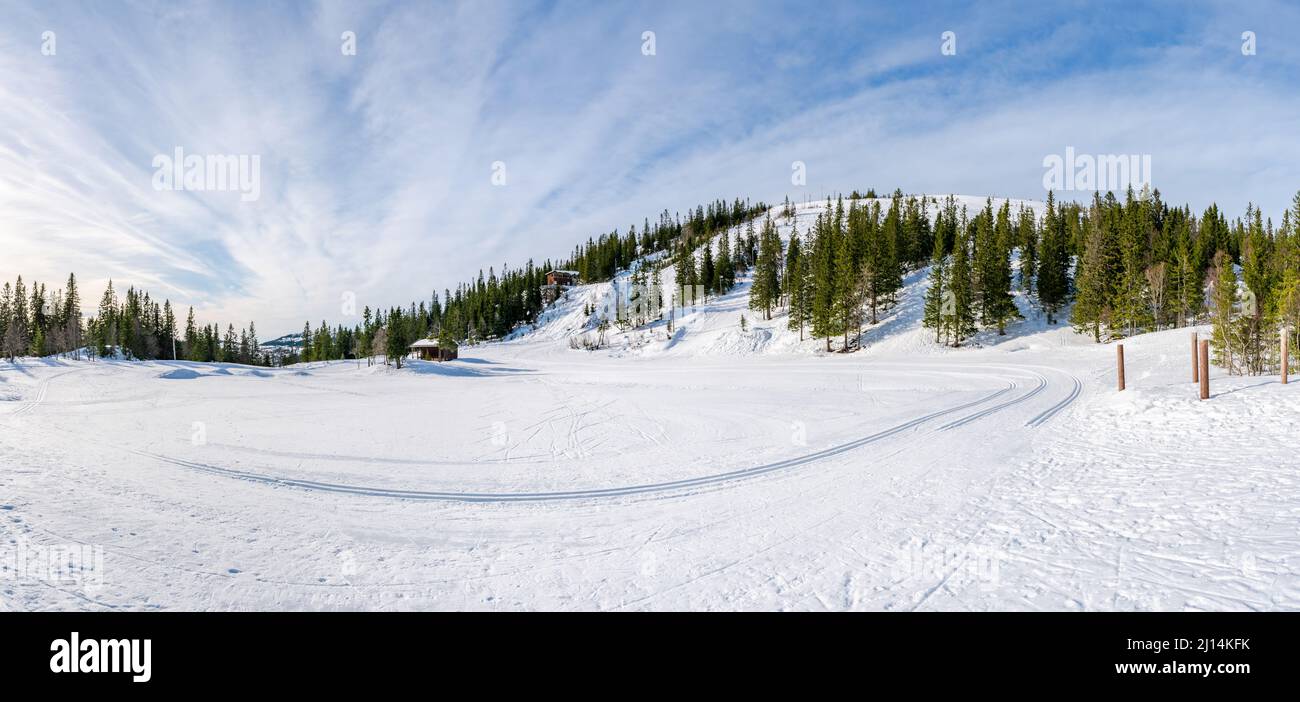 Winter landscape in snow covered Bymarka nature reserve in Trondheim ...