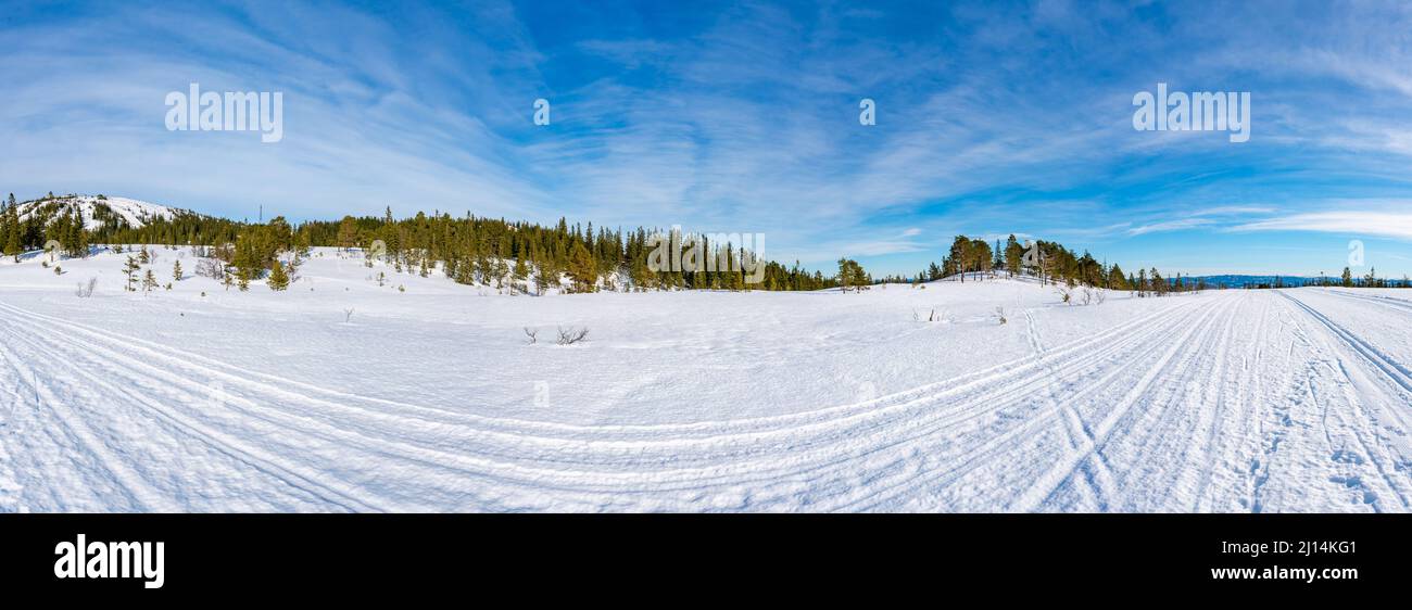 Winter landscape in snow covered Bymarka nature reserve in Trondheim ...