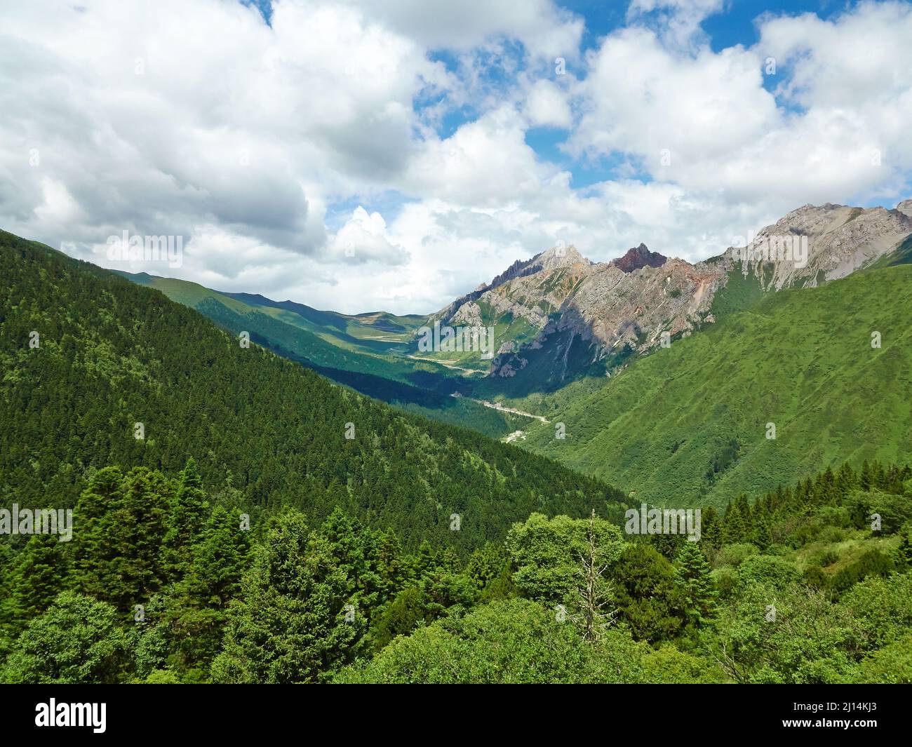 Beautiful mountain landscape of forested slopes and valley under a ...